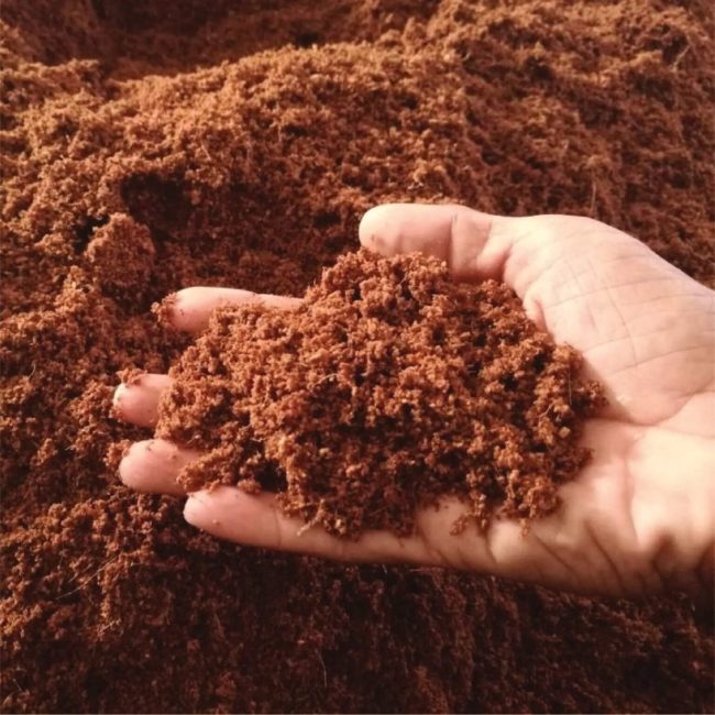 Coco Peat - Bellarine Soil Tech