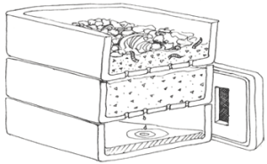 Beginners Guide To Worm Farming - Bellarine Soil Tech